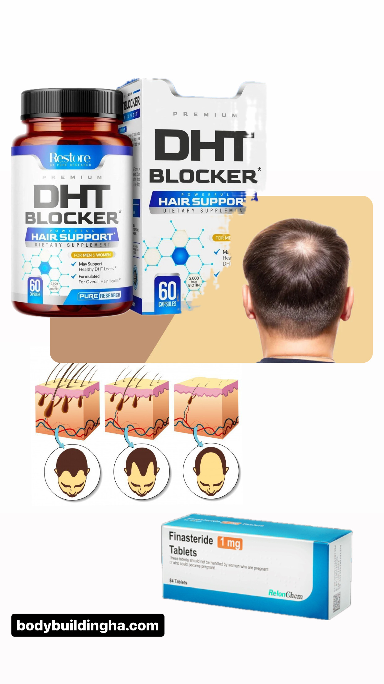 DHT ( دی هیدروتستوسترون ) چیست؟ عملکرد و افزایش آن در بدنسازی - مربی ...